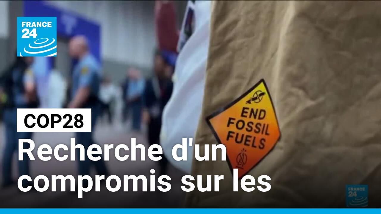 COP28 : à la recherche d'un compromis sur les énergies fossiles - France 24